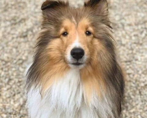 Polymics Ltd Contact Information #1 Best Polymers